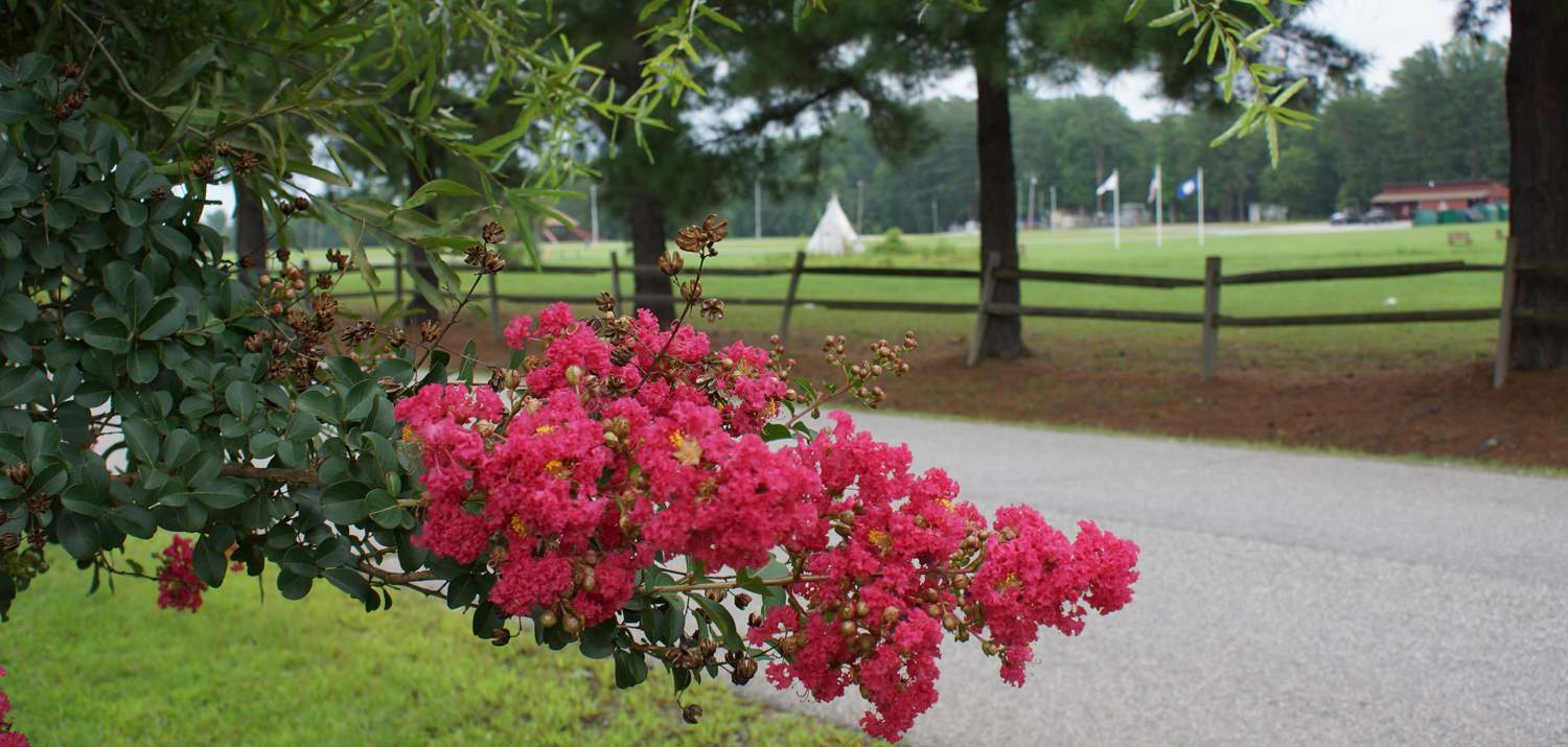 Home [www.indianacres.org]